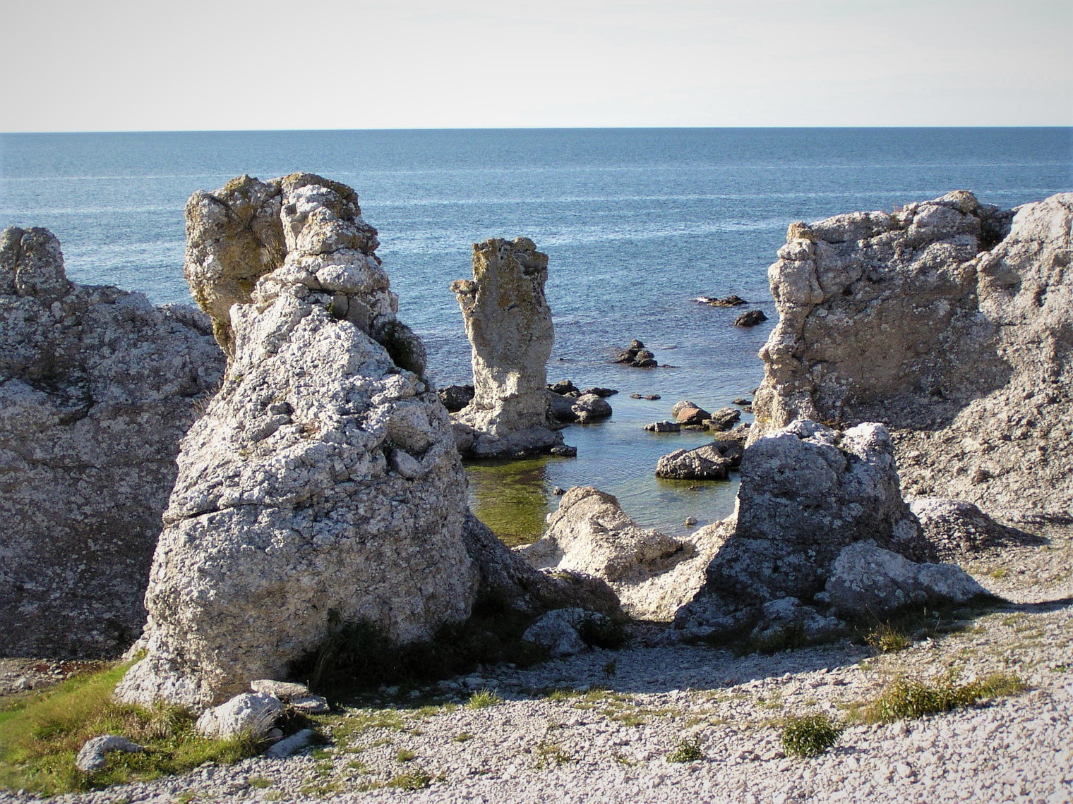 Gotlannissa ruusut ja raukit ovat pääosissa - Jälkipeli.net