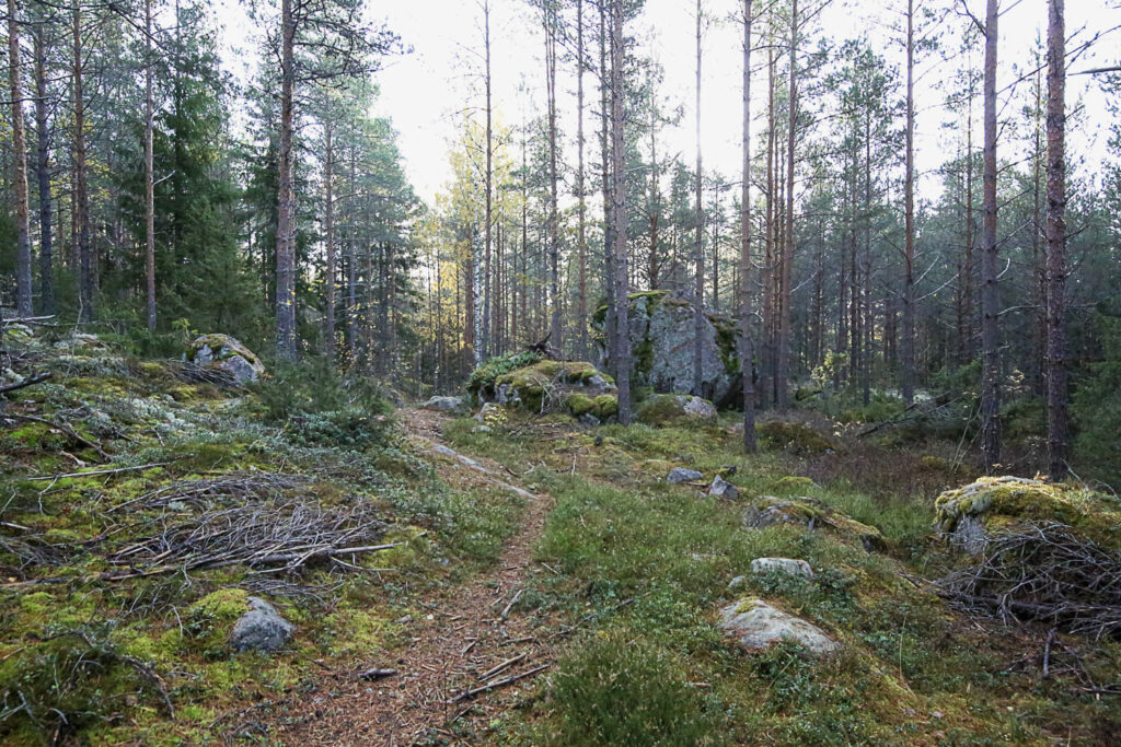 Korkea Nakolinnanmäki oli aikoinaan hyvä puolustuspaikka - Jälkipeli.net