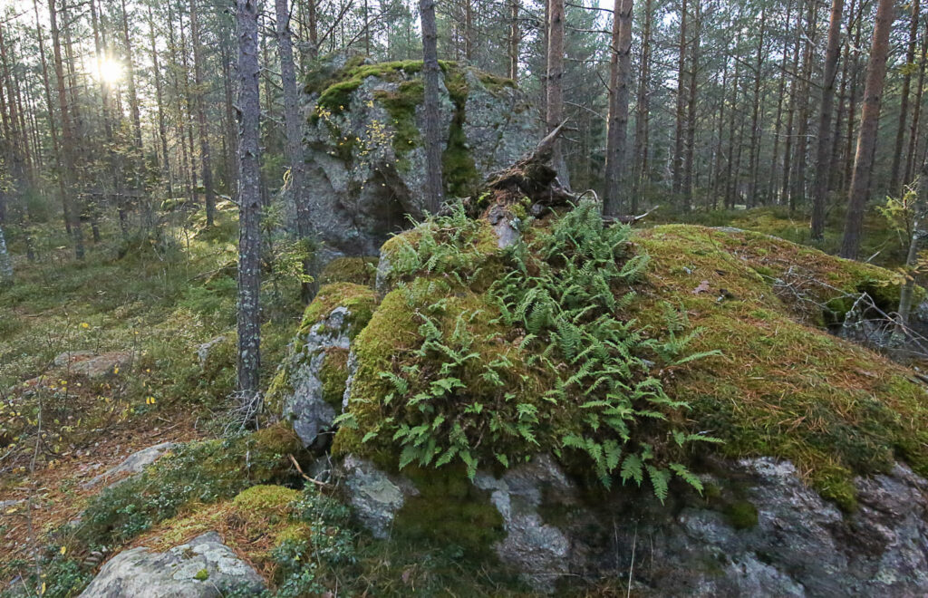Korkea Nakolinnanmäki oli aikoinaan hyvä puolustuspaikka - Jälkipeli.net