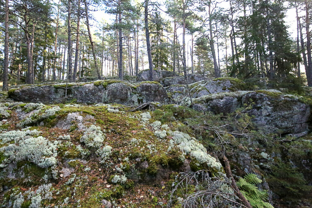 Korkea Nakolinnanmäki oli aikoinaan hyvä puolustuspaikka - Jälkipeli.net